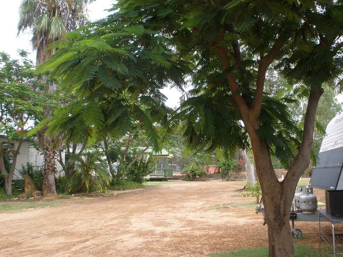 Van & Camping Sites – Blackall Caravan Park